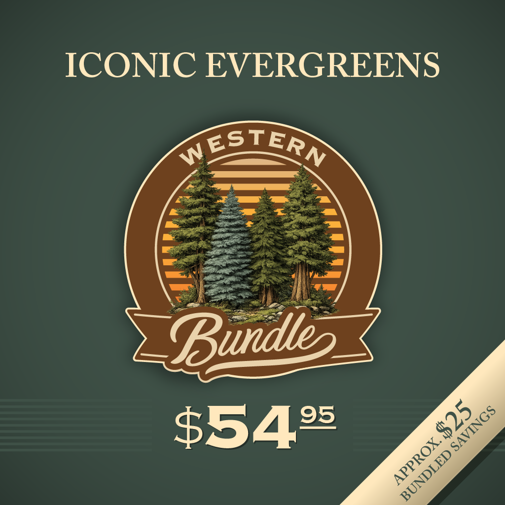 Western US Iconic Evergreen Seedlings Bundle – Dry Rock Trees Nursery